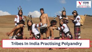Polyandrous Marriages in India: Tribal Traditions and Cultural ...